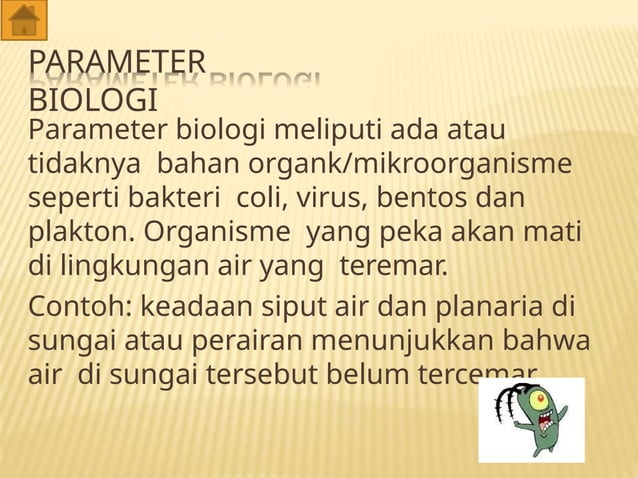 PARAMETER PENCEMARAN- Nadia Luanda Septania2110610003 Pend. Fisika 6C Weekend.pptx