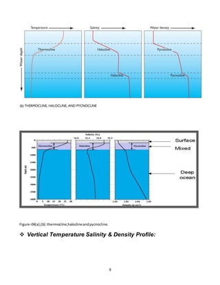 Thermocline Halocline Pycnocline