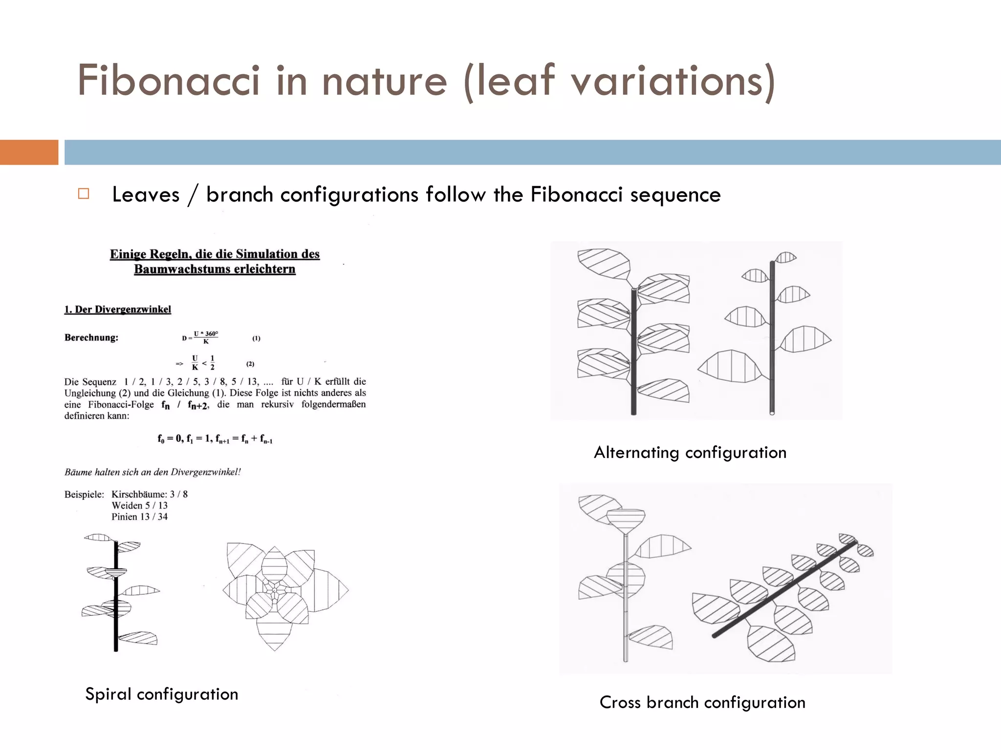 Parametric Architecture – Botanical Treeson Cad | PPT