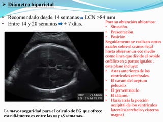 Parametros Ecograficos Para Determinar Eg Pptx
