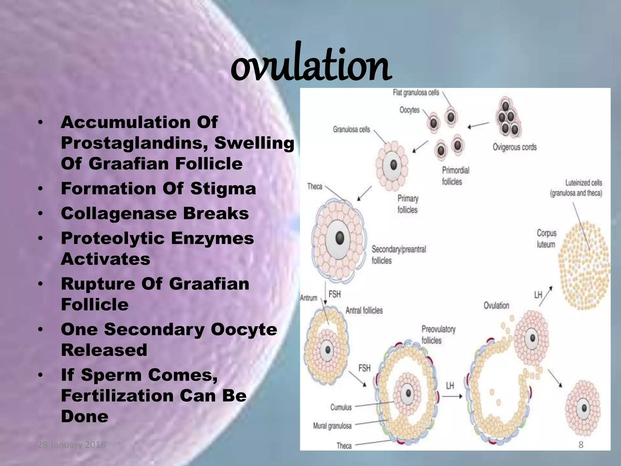 polycystic ovarian syndrome and general awareness | PPTX