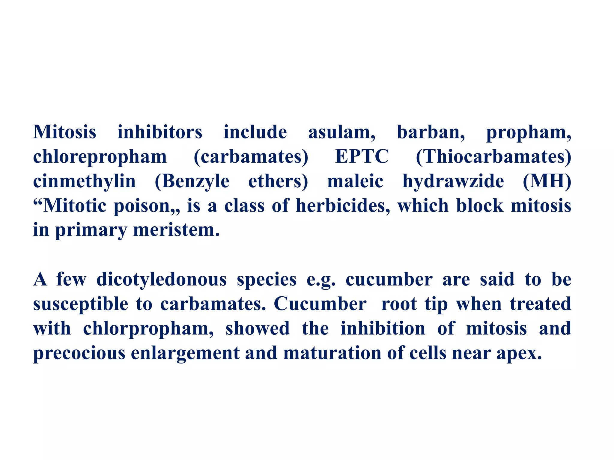 .MODE AND MECHANISM OF ACTION OF MICROTUBULE ASSEMBLY, MITOSIS AND ...
