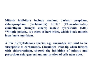 .MODE AND MECHANISM OF ACTION OF MICROTUBULE ASSEMBLY, MITOSIS AND ...
