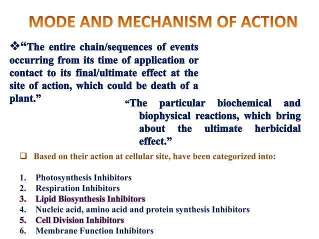 .MODE AND MECHANISM OF ACTION OF MICROTUBULE ASSEMBLY, MITOSIS AND ...