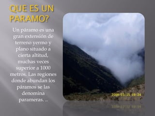 Paramos | PPT