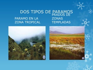 Paramos de colombia | PPTX