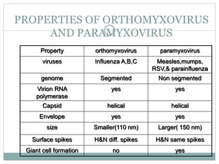 paramyxovirus.ppt