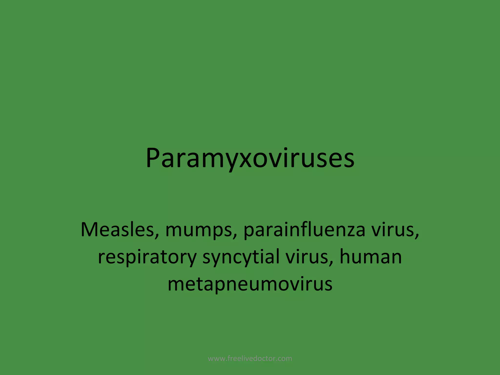 Paramyxovirus | PPT