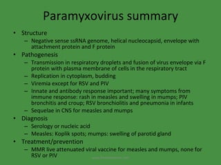 Paramyxovirus | PPT