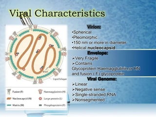 Paramyxovirus | PPTX | Infectious Diseases | Diseases and Conditions