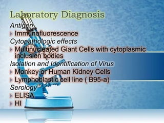 Paramyxovirus | PPTX | Infectious Diseases | Diseases and Conditions