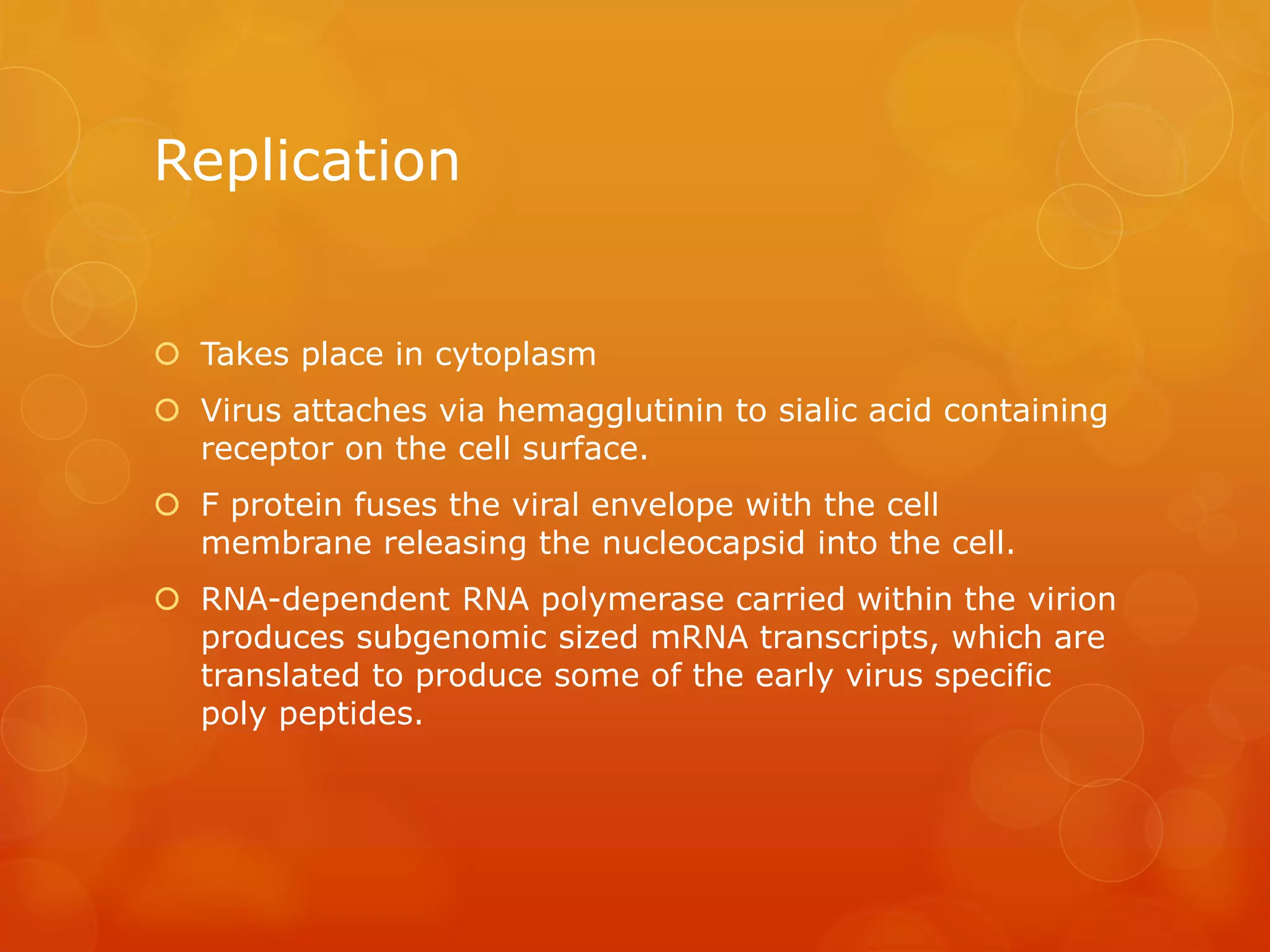 Paramyxo virus Classification Symptoms and Lab diagnosis | PPTX