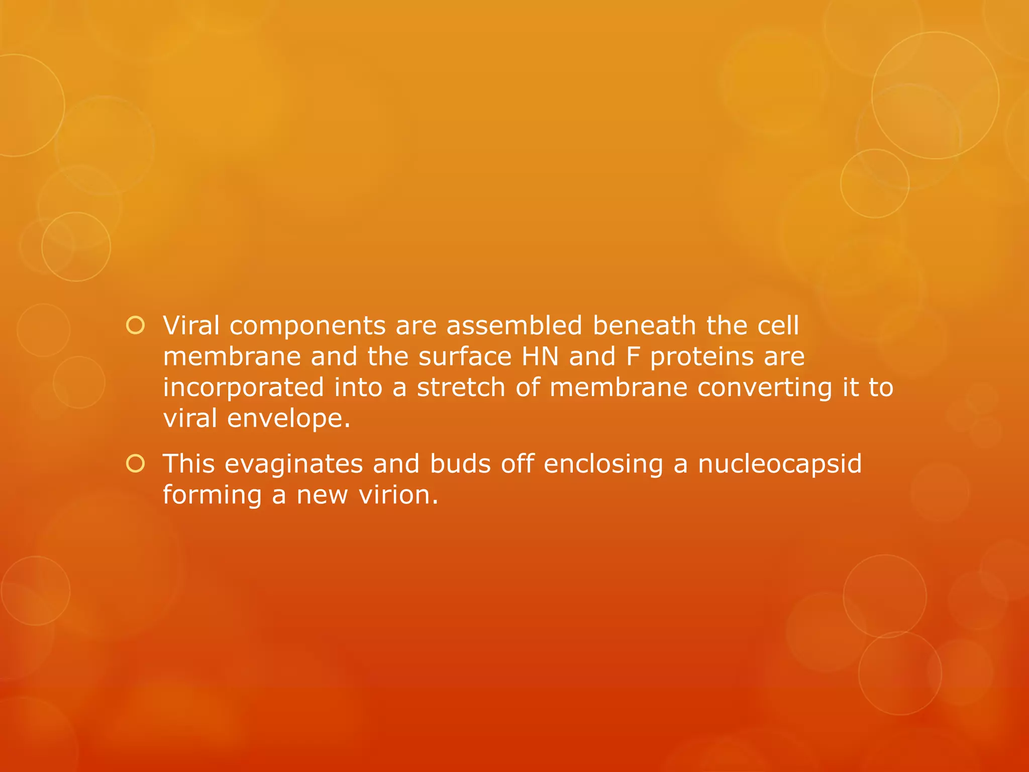 Paramyxo virus Classification Symptoms and Lab diagnosis | PPTX