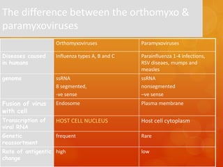 Paramyxo virus Classification Symptoms and Lab diagnosis | PPTX