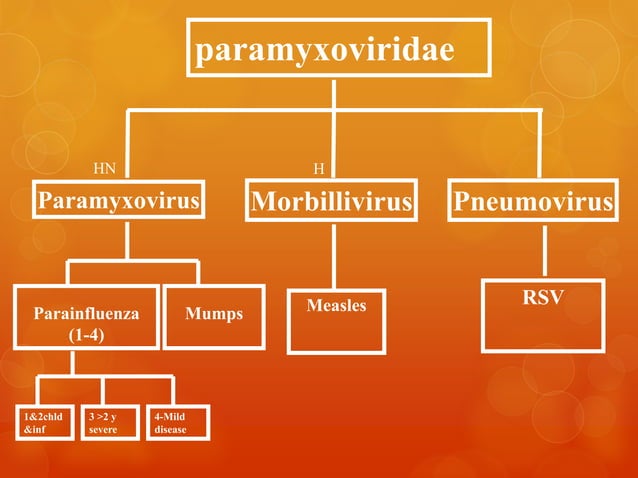 Paramyxo virus Classification Symptoms and Lab diagnosis | PPTX ...