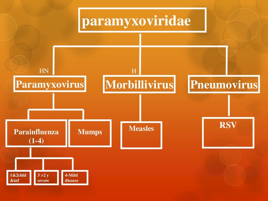 Paramyxo virus Classification Symptoms and Lab diagnosis