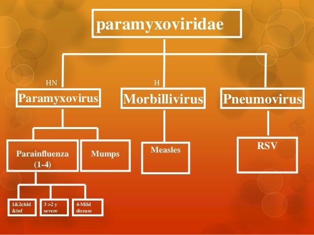 Paramyxo virus Classification Symptoms and Lab diagnosis