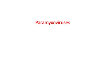 paramyxovirus classification, examples and the infections.pptx