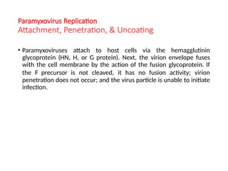 paramyxovirus classification, examples and the infections.pptx