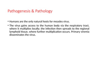 paramyxovirus classification, examples and the infections.pptx