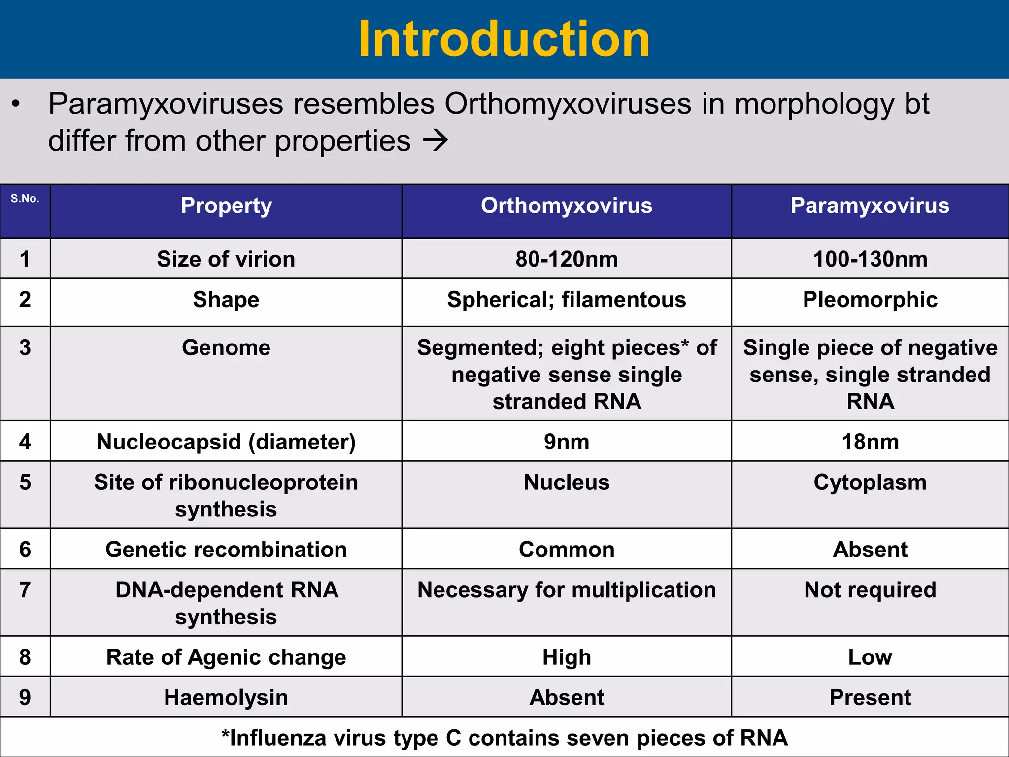 Paramyxoviruses | PPT