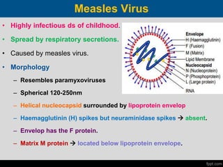 Paramyxoviruses | PPT