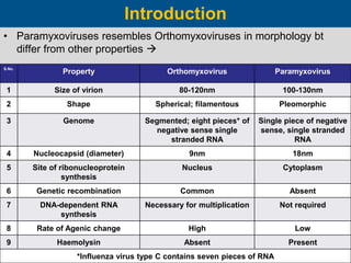 Paramyxoviruses | PPT