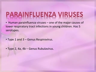 Paramyxoviruses lecture dwd | PPT