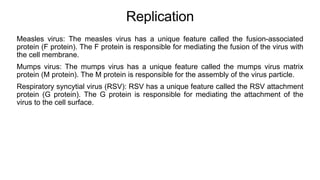 Paramyxovirus - Measles,Mumps and Respiratory Syncytial Virus | PPT