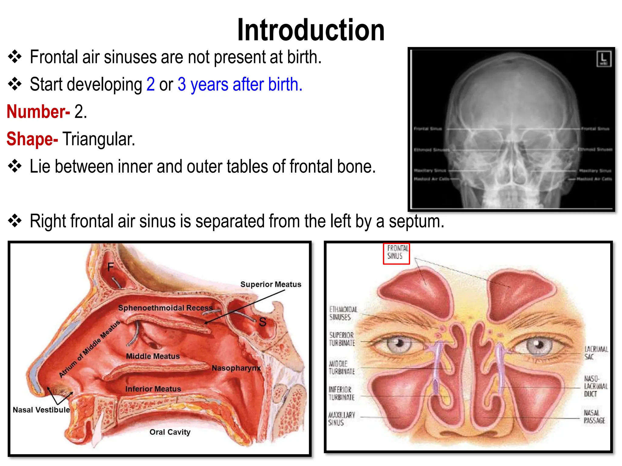 PARANASAL-AIR-SINUSES ethmoid, mastoidpdf | PDF