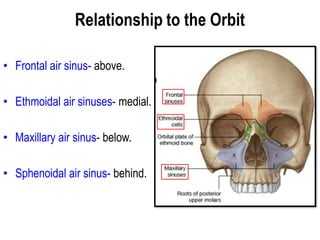 PARANASAL-AIR-SINUSES ethmoid, mastoidpdf | PDF