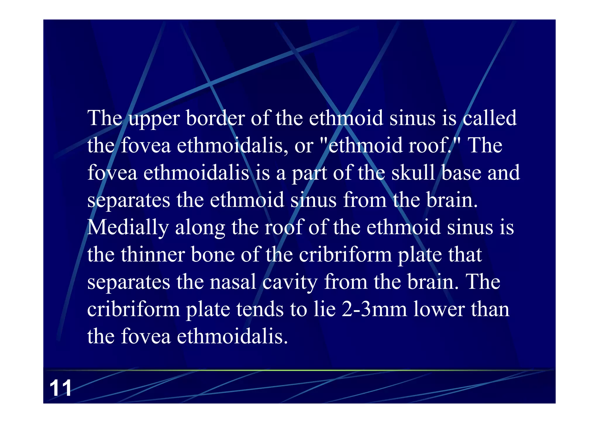 CT anatomy of the paranasal sinuses | PDF