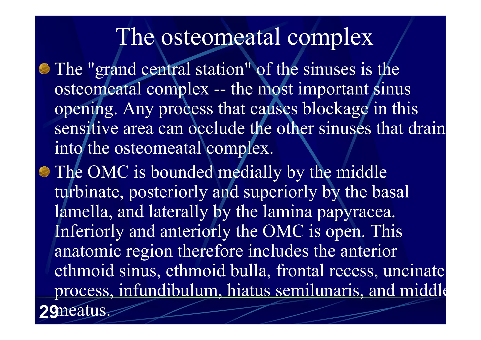 CT anatomy of the paranasal sinuses | PDF