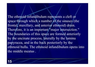 CT anatomy of the paranasal sinuses | PDF