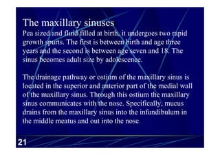 CT anatomy of the paranasal sinuses | PDF