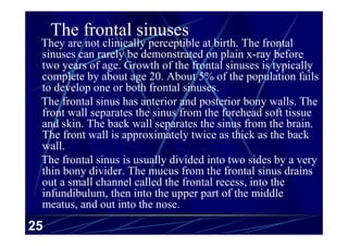 CT anatomy of the paranasal sinuses | PDF