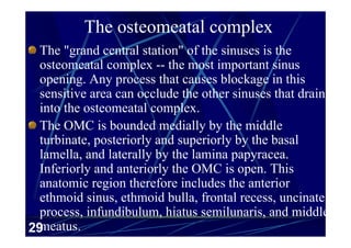 CT anatomy of the paranasal sinuses | PDF