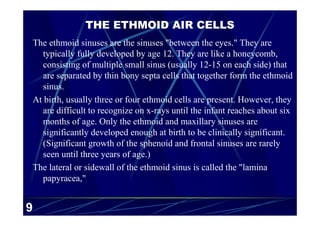 CT anatomy of the paranasal sinuses | PDF