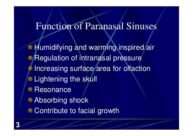 Paranasal Sinuses Function