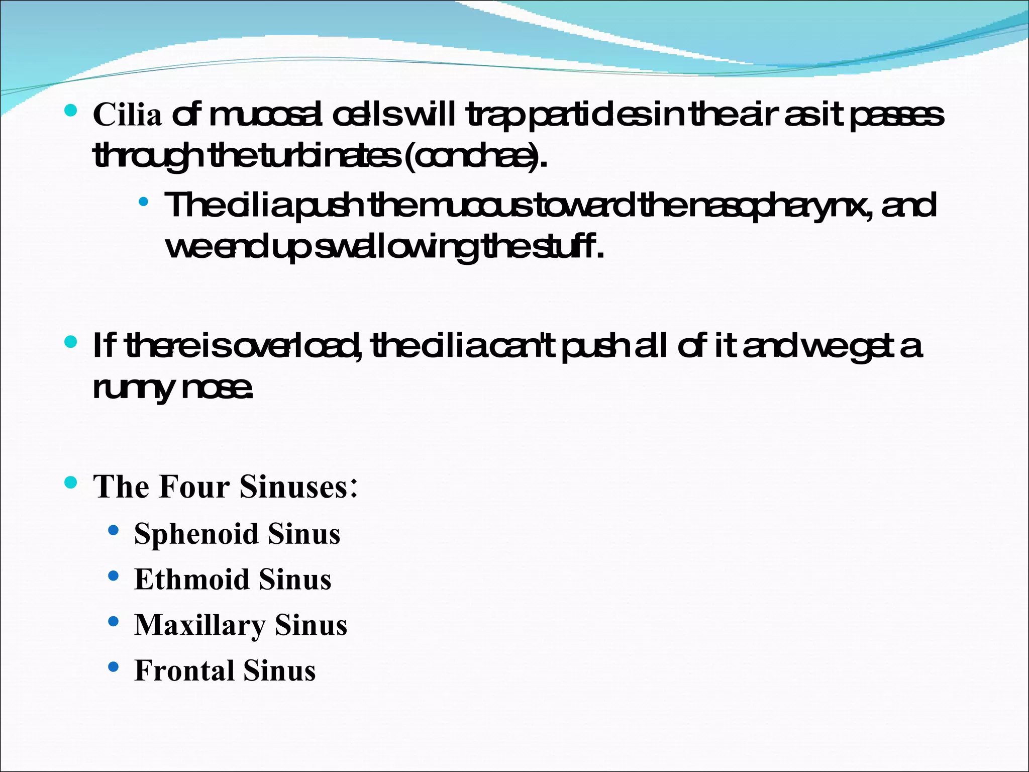 Paranasal Sinuses | PPT