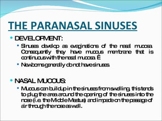 Paranasal Sinuses | PPT