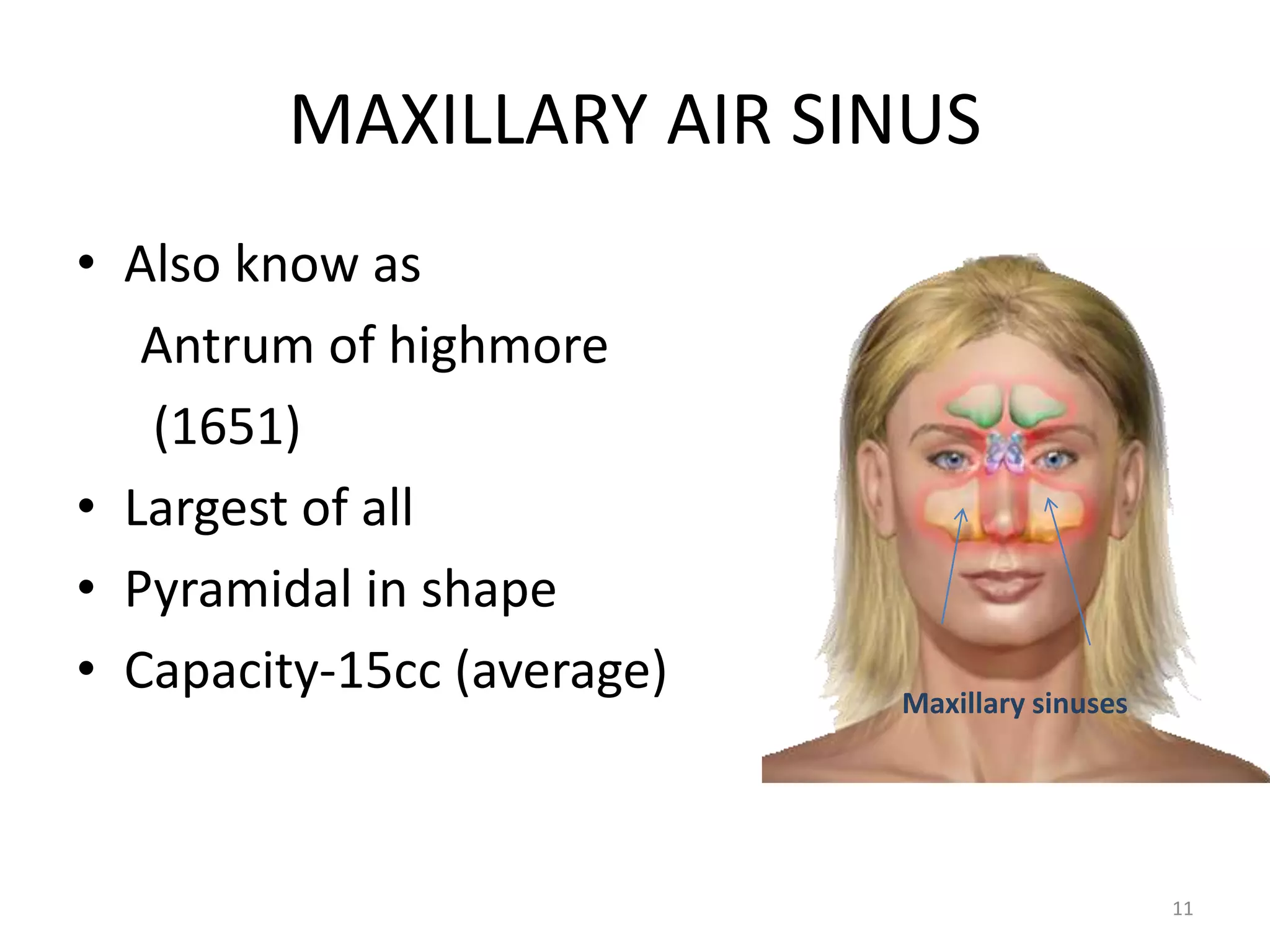 Paranasal air sinus | PPTX