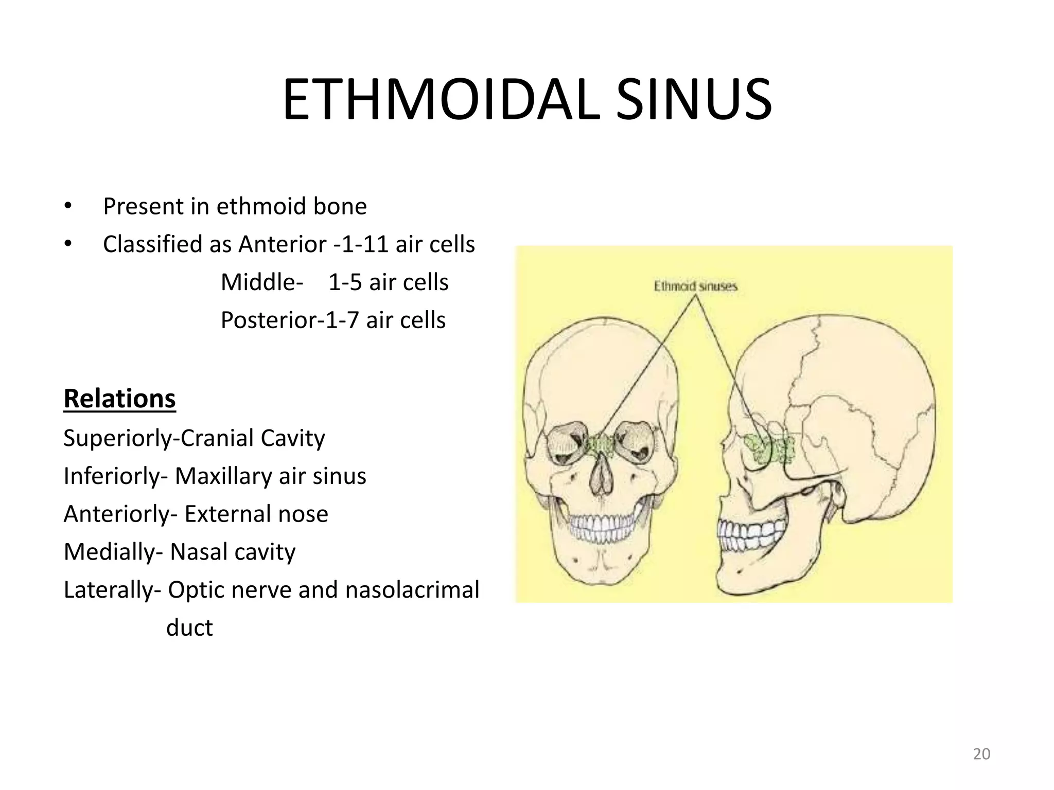 Paranasal air sinus | PPTX