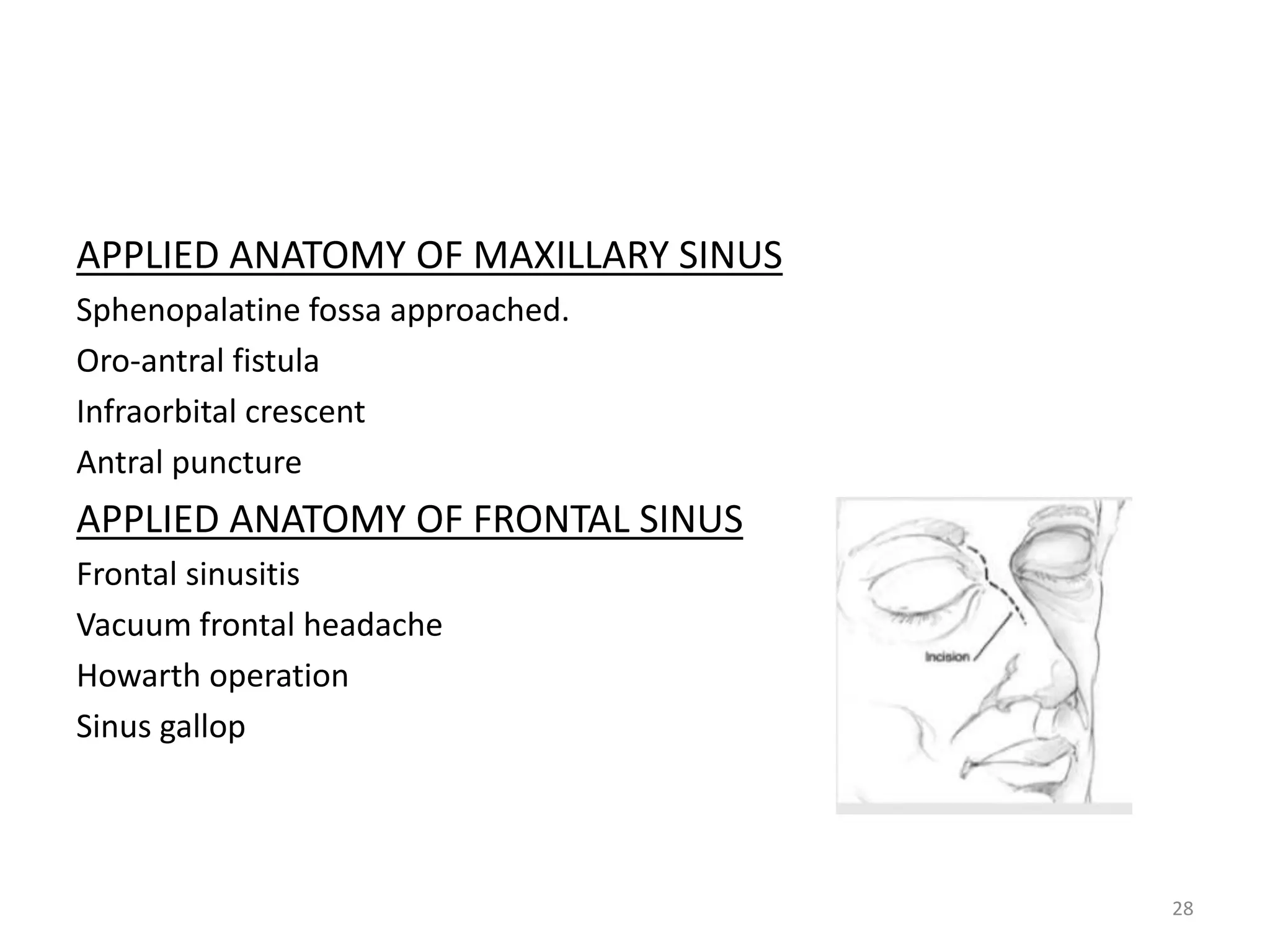 Paranasal air sinus | PPTX