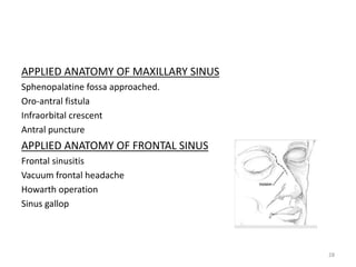 Paranasal air sinus | PPTX