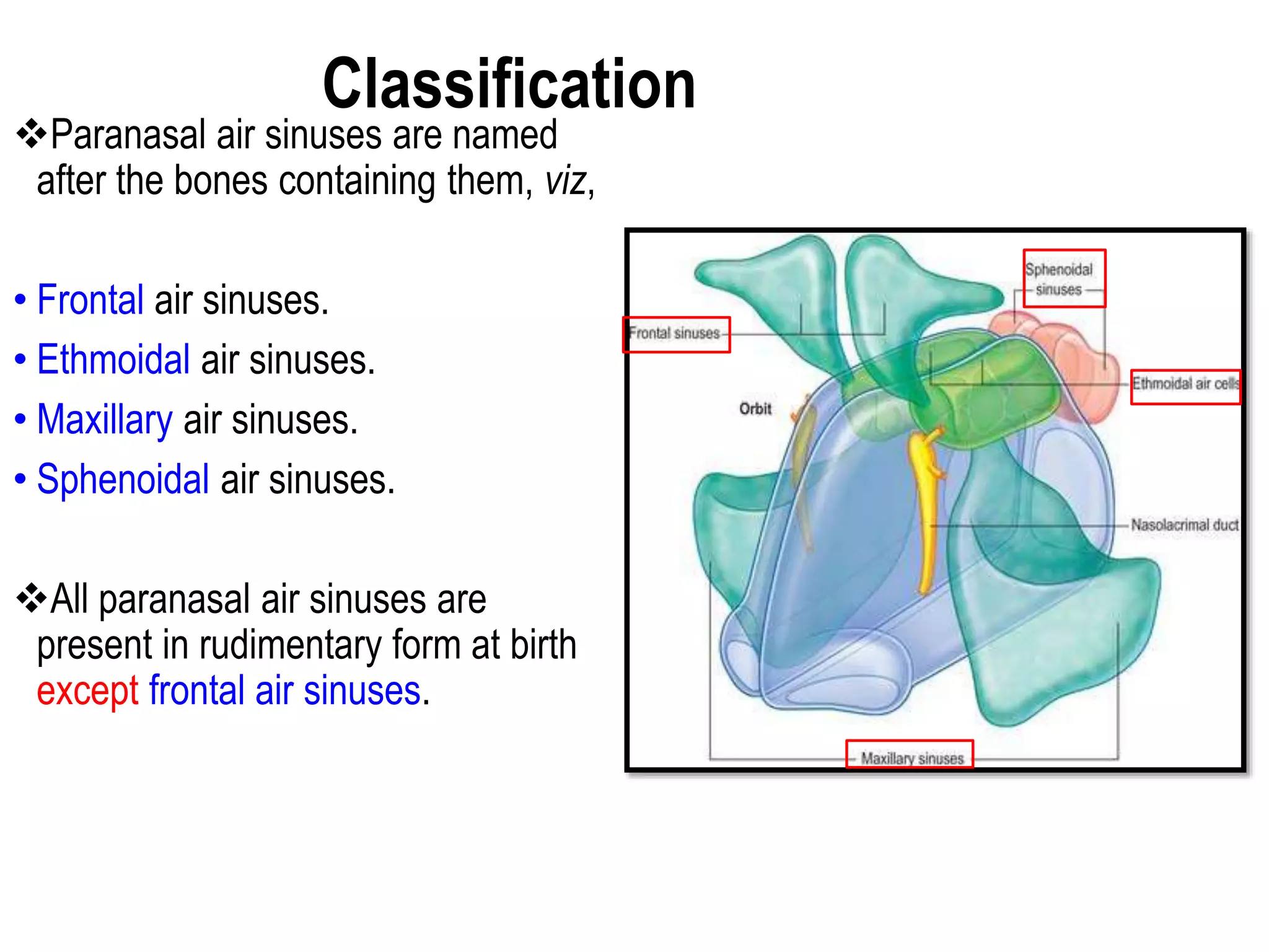 PARANASAL AIR SINUS.pptx | Ear, Nose and Throat Conditions | Diseases and Conditions