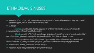 Paranasal air sinus 7.pptx