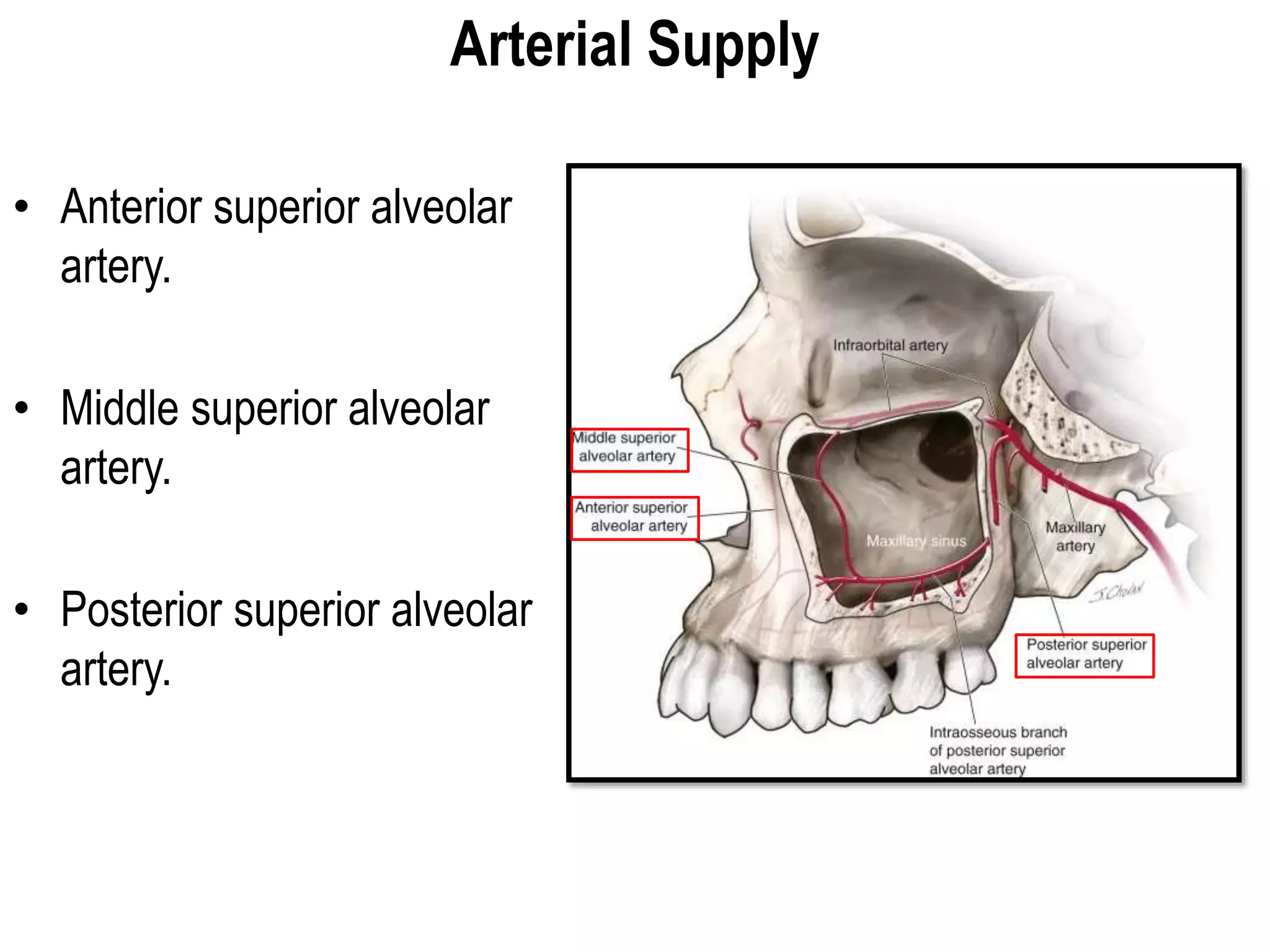 PARANASAL AIR SINUSES.pptx