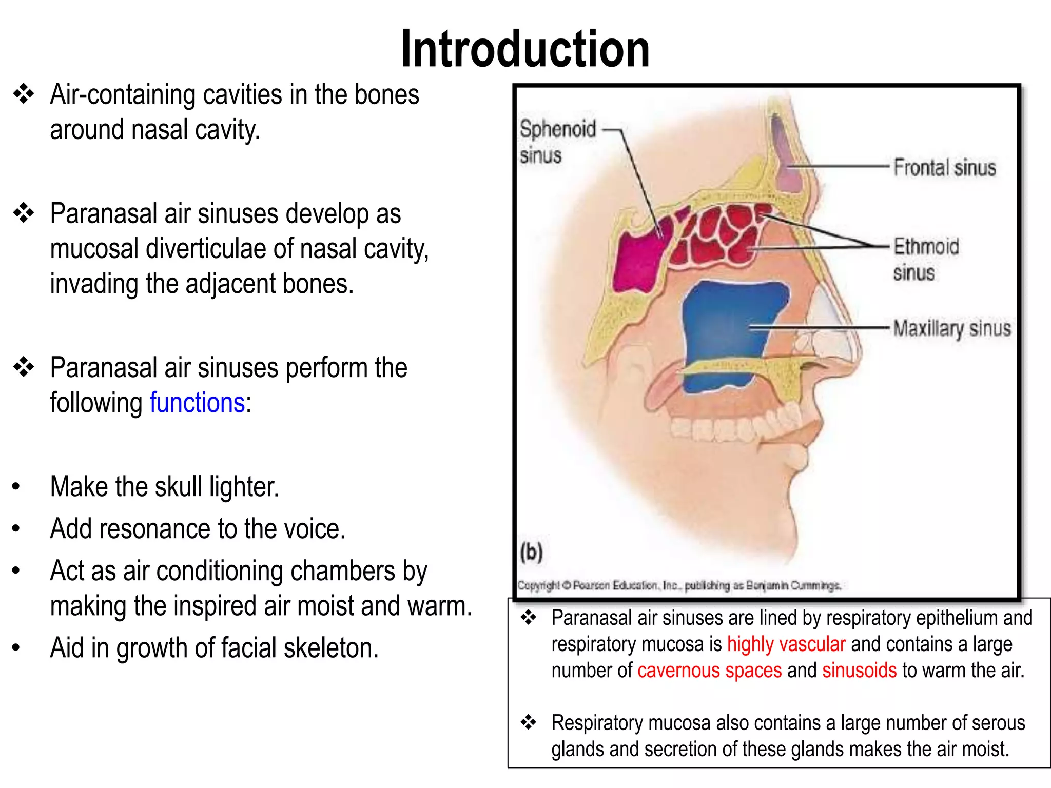 PARANASAL AIR SINUSES.pptx
