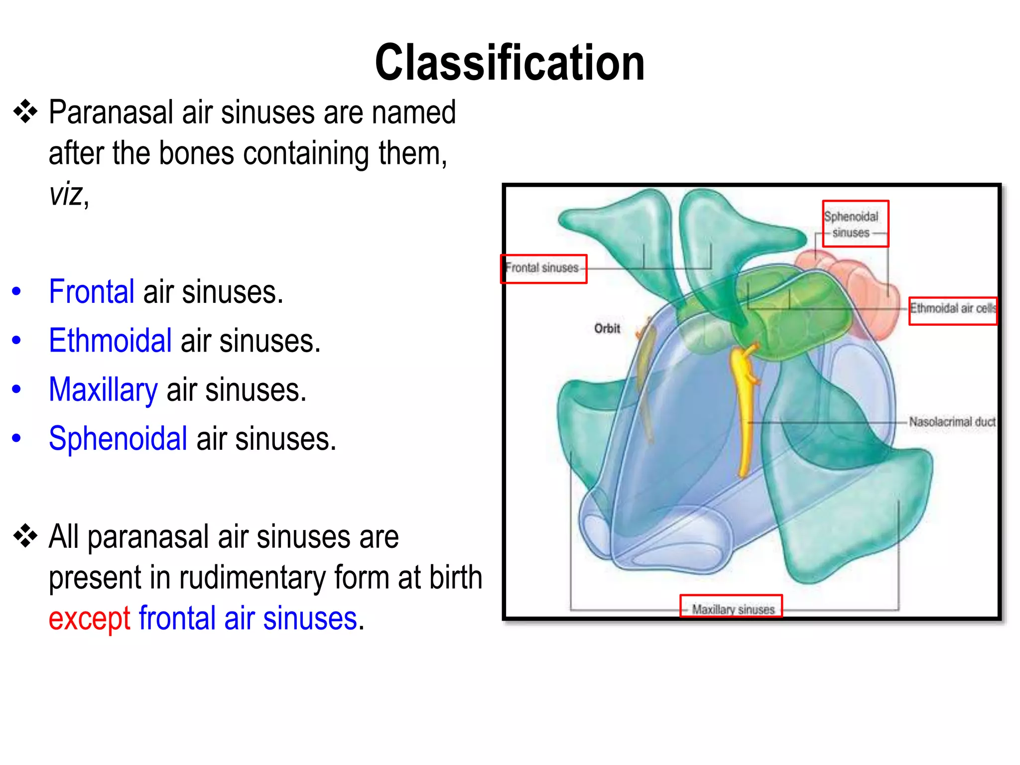 PARANASAL AIR SINUSES.pptx